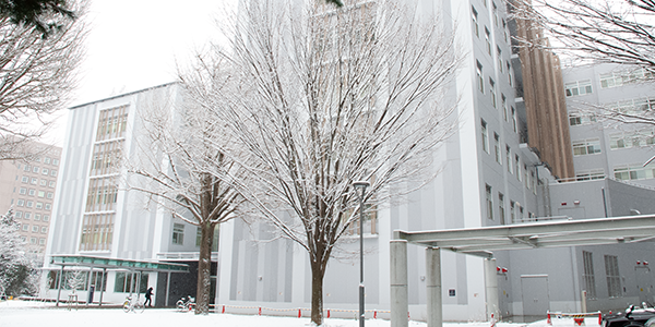 ToMMo News Letter Mail