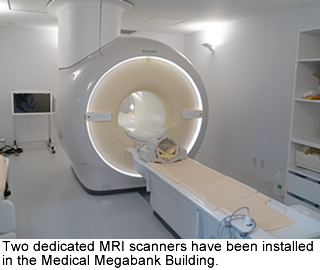 Delve Deeper: Understanding the Neuroscience behind Disaster Recovery ...