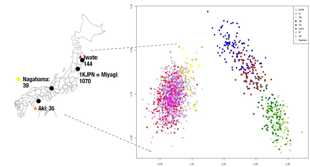 The article about Japanese genome reference panel was published｜ToMMo