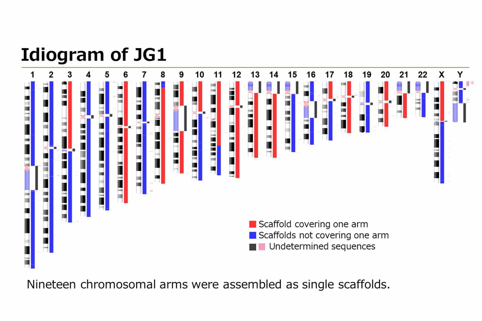 Constructing the First Version of the Japanese Reference Genome [Press ...