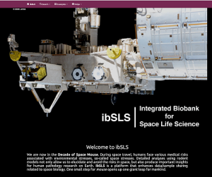 Study Reveals Nrf2 Critical Role in Regulating our Metabolism in Space ...
