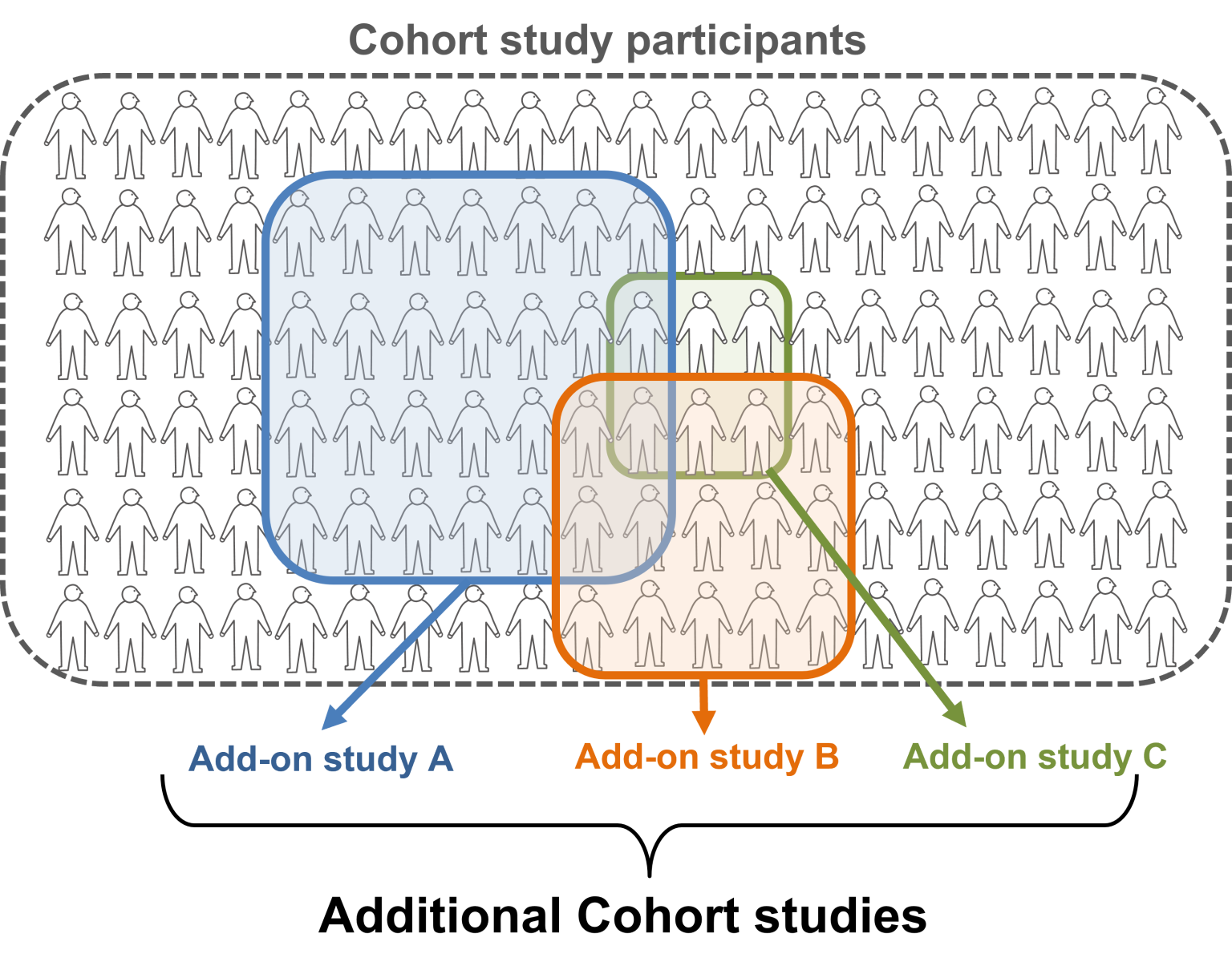 Cohort Study and Biobank｜ToMMo